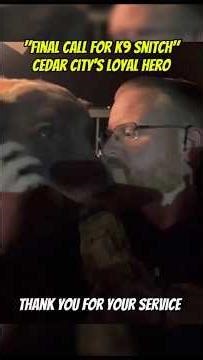 Final Call for K9 Snitch | Cedar City’s Loyal Hero #K9Snitch #FinalCall #herodog