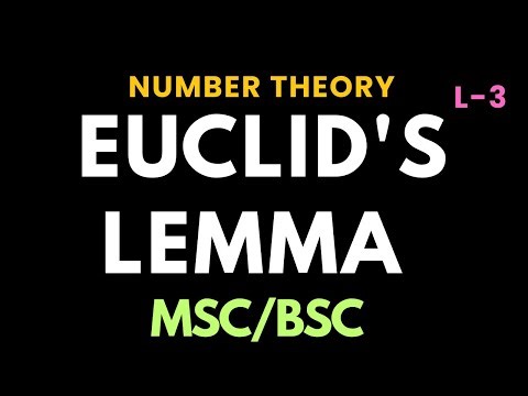 Unit, Prime, Co-Prime, Twin Prime, Composite, Perfect Numbers & Euclid’s Lemma | BSc & MSc Maths