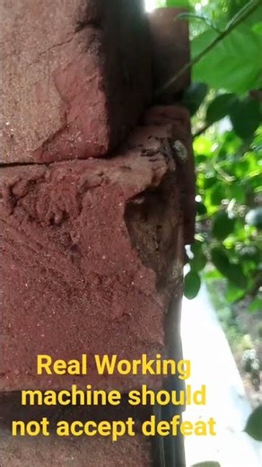 Real working machine should not accept defeat#shorts