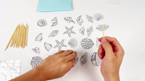 26PCS Summer Happy Birthday Cupcake Toppers Seashells Theme Party Decorations Cake Decor Cupcake Decorations Cake Decorating Party Supplies Decor Starfish and Seashell for Boys Girls