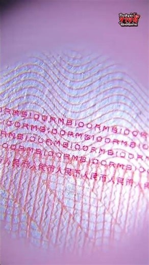 🔬 แว่นขยาย 3-in-1 (55X, 10X, 3X)