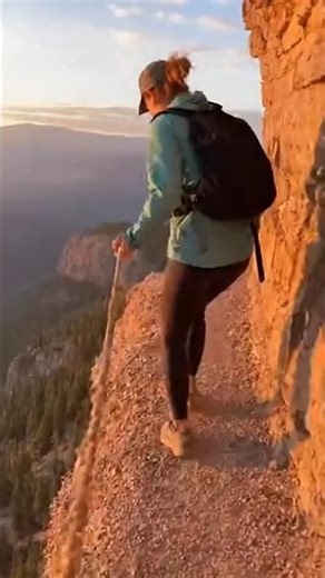 Golden Retriever Stops Woman From Falling Off Cliff! 🐕⛰️😱 #shorts #dogs #rescue