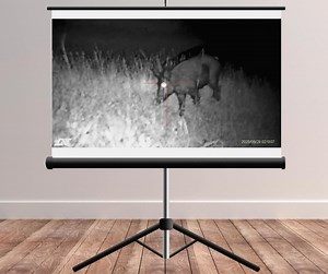 1.6K views · 27 reactions | Double Tap "OUT THE BUGGY" with Sam Nassan! Voltronix DNT Optics https://sniperhoglights.com/zulus-hd-3-12x-digital-night-vision-scope-with-laser-rangefinder-and-ballistic-calculator/ #outthebuggy #dirtnap #cruising #doubletap #DontBeLeftInTheDark #DNTOptics#lightupthenight #hyperion50 #nightlife #werollin #texas #hoghunting #predatorhunting #whatgetsyououtdoors | SNIPER HOG LIGHTS | Facebook