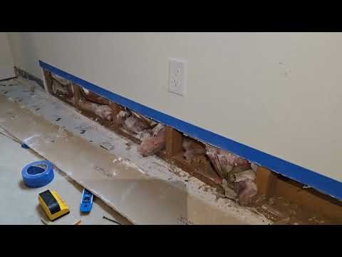 Pest Control Near Me in Shoreline, Edmonds, Seattle & Bellevue | Bugnation, LLC Exterminator