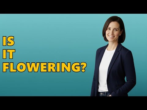 How Do I Know When My Autoflower Is Flowering?