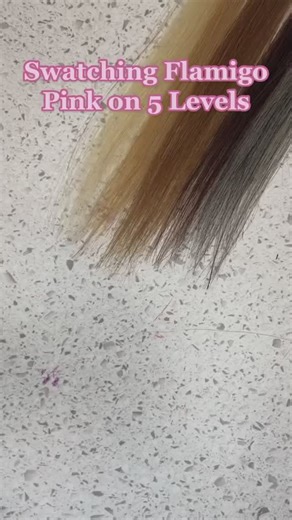 Flamingo Pink on 5 Levels of hair 🦩 Shop now on Punky.com and @amazon #punkyhaircolour #punkycolour #flamingopink #pinkhair #swatches #punkysemis #semipermanent #beforeandafter