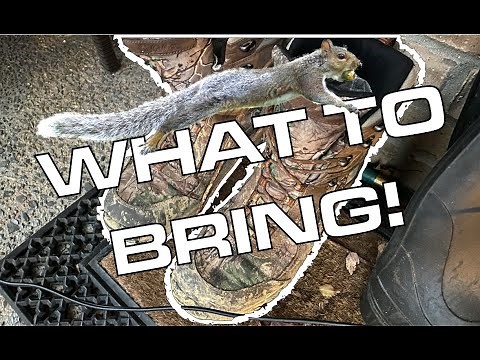 SQUIRREL Hunting Essentials! What to bring!
