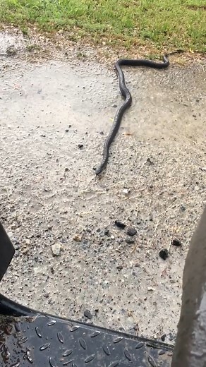 Sometimes it's better to flee from nature than film it! | Reader's Digest