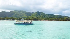 34K views · 1K reactions | Getting the family/group holiday plans...