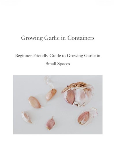 Beginner Garlic Growing Guide PDF Step by Step Container Gardening at Home - Etsy
