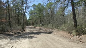 Environmentalists Fight Great Adventure's Solar Site | Video | NJ Spotlight News