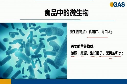 GC-IMS技术——“看的见”的微生物发酵风味分析