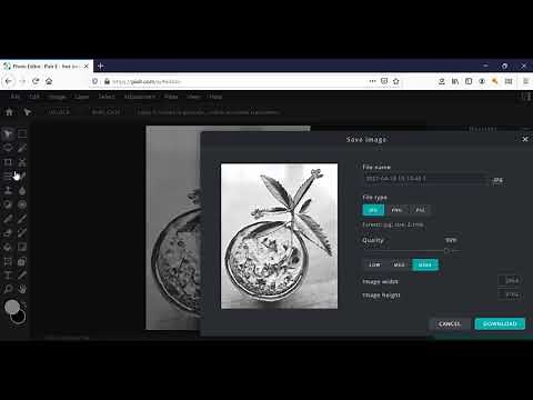 How to Create the Solarization Effect Digitally