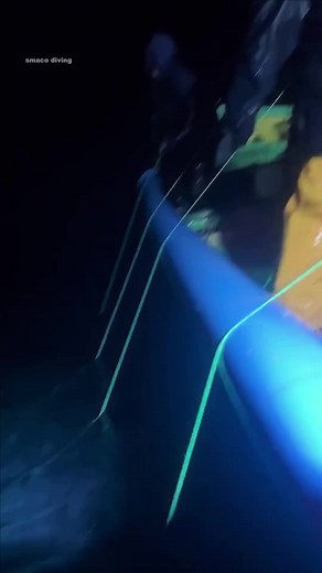 #fyp #scubadiving #fishing #hunting #outdoors #smaco