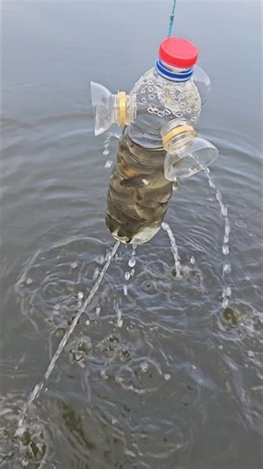 Catching fish using a bottle trap