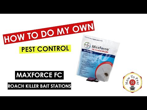 How to Get Rid of Cockroaches FAST | Maxforce FC Roach Killer Bait Stations Tutorial