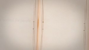 Life Path 8 And 8 Compatibility: Are They?