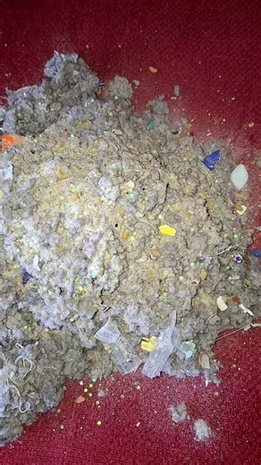 Satisfying Vacuuming Sounds with Open Hose