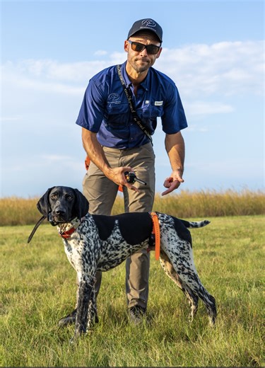 Standing Stone Kennels on Instagram: "Getting our pups ready for the hunt! Starting with step one: clicker training & teaching "whoa" — There are 7 total steps look for the full video on this! #DogTraining #HuntingDog #PuppyDevelopment"