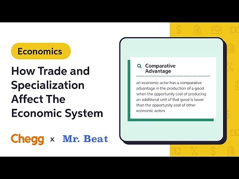 How Trade and Specialization Affect The Economic System Ft. Mr. Beat