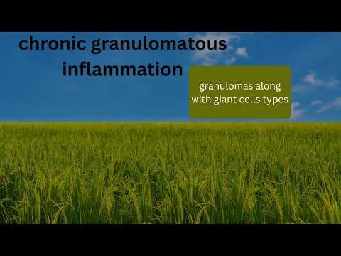interleukins types plus chronic inflammation explained clearly