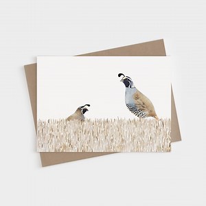 Watercolor California Quail Blank Folded Note Cards - Desert Bird Stationery - Etsy