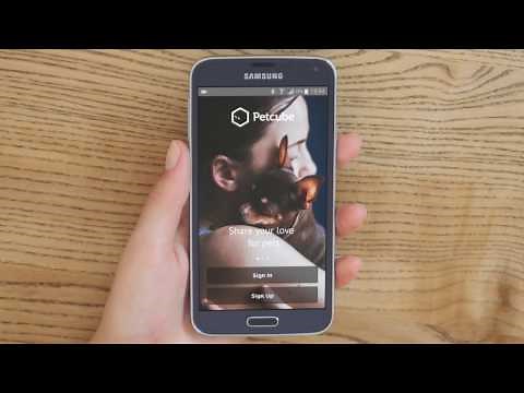 Petcube Play Android Setup Guide