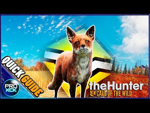 Red Fox Guide for Hirschfelden and Yukon Valley - theHunter Call of the Wild