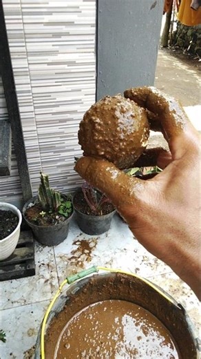 KALAU KAU SUKA la la la🍉🍓❤️💛🍅🍭🔴#shorts #cutebabyfunn #fypシ