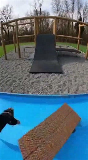 Jumping over the pool is the best 🏊💦