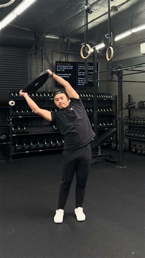 Overhead Plate Rotations