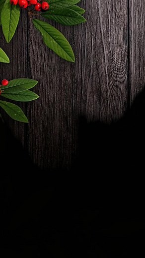 Princedinesh.1 على TikTok