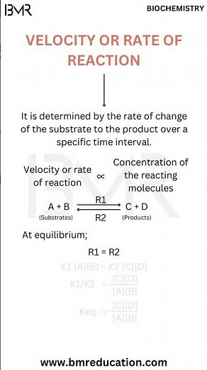 Velocity or rate of reaction - Kinetic of enzymes | Enzymology | Biochemistry