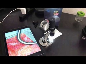 WiFi Microscope Review, YINAMA 50x to 1000x Magnification Microscope Camera