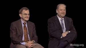 Uncovering the Secretory Pathway