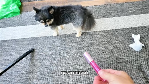 Lin Injections Gone Wrong! Part 1 | The Mighty McClures