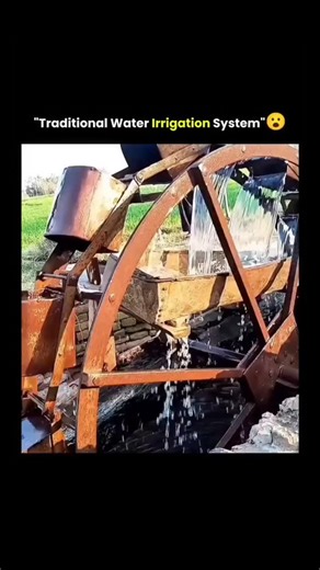 EXPLAINING_ERA... on Instagram: "Traditional Water Irrigation System Powered by Motion This traditional irrigation system uses pure kinetic energy to move water without electricity or fuel. As the wheel turns with the flow of the stream, attached buckets lift water upward, one by one. At the top, each bucket automatically pours its load into a channel, guiding water toward fields and crops. The motion never stops as long as the water flows, creating a continuous cycle of lifting and pouring. Sim