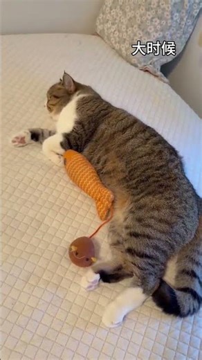 So what is the reference object of time Has the fish become smaller #Childhood vs