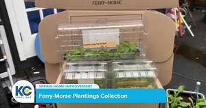 Top tips for spring home improvements