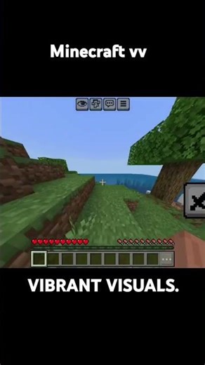 Minecraft vibrant visuals.....