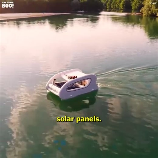 4.3M views · 46K reactions | ⛵ Sail into the future with the Elcat Solar Electric Boat! #solarenergy #greenenergy #summer #lakelife #boat #engineering #automotive #technology | Thesuperboo | Facebook