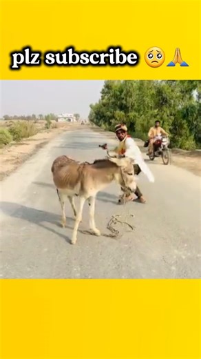 The Donkey's Unexpected Revenge! 😂#machanic #shortvideo #gattha #akainote#zootopia2 #dance #music