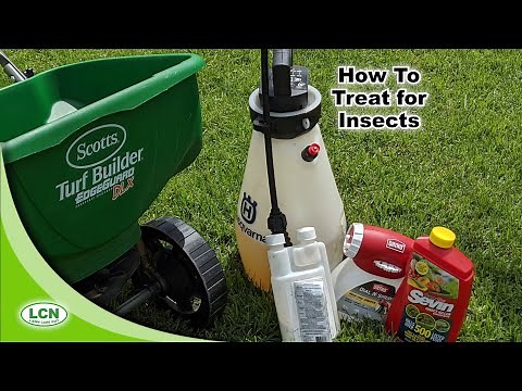 How To Treat For Bugs In The Lawn :: Liquid and Granular Options