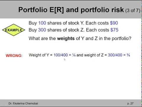 (9 of 20) Ch.13 - Calculation of portfolio weights: 2 examples