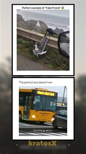 Trust Issues Started From Here 💀😂