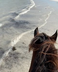 15 reactions | Let the #sea set you #free • Experience enchanting and exhilarating adventures only at #DestinationDiani . . : @bobbykamani . . . . . #WelcomeBack #TropicalVacations #Travel #BeautifulPlaces #Beach #BeautifulDestinations #Travelgram #DestinationDiani #DianiReef #DianiBeach #DianiDoneRight #TembeaKenya #MagicalKenya #ThisIsAfrica #WhyILoveKenya #Coast | Diani Reef Beach Resort & Spa | Facebook