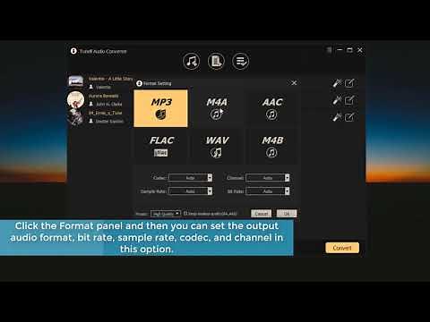 How to Use Tunelf Audio Converter | Tunelf Tutorial