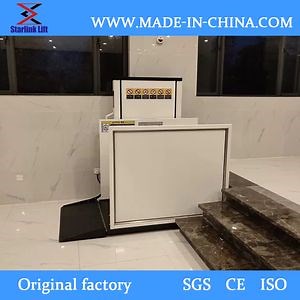 [Hot Item] Customized Standard 250kg Capacity Wheeelchair Platform Lift