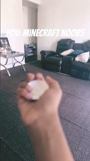 POV: Minecraft noobs