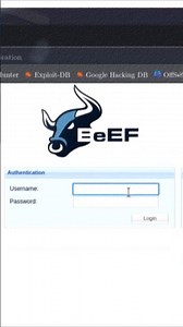 BEEF - XSS